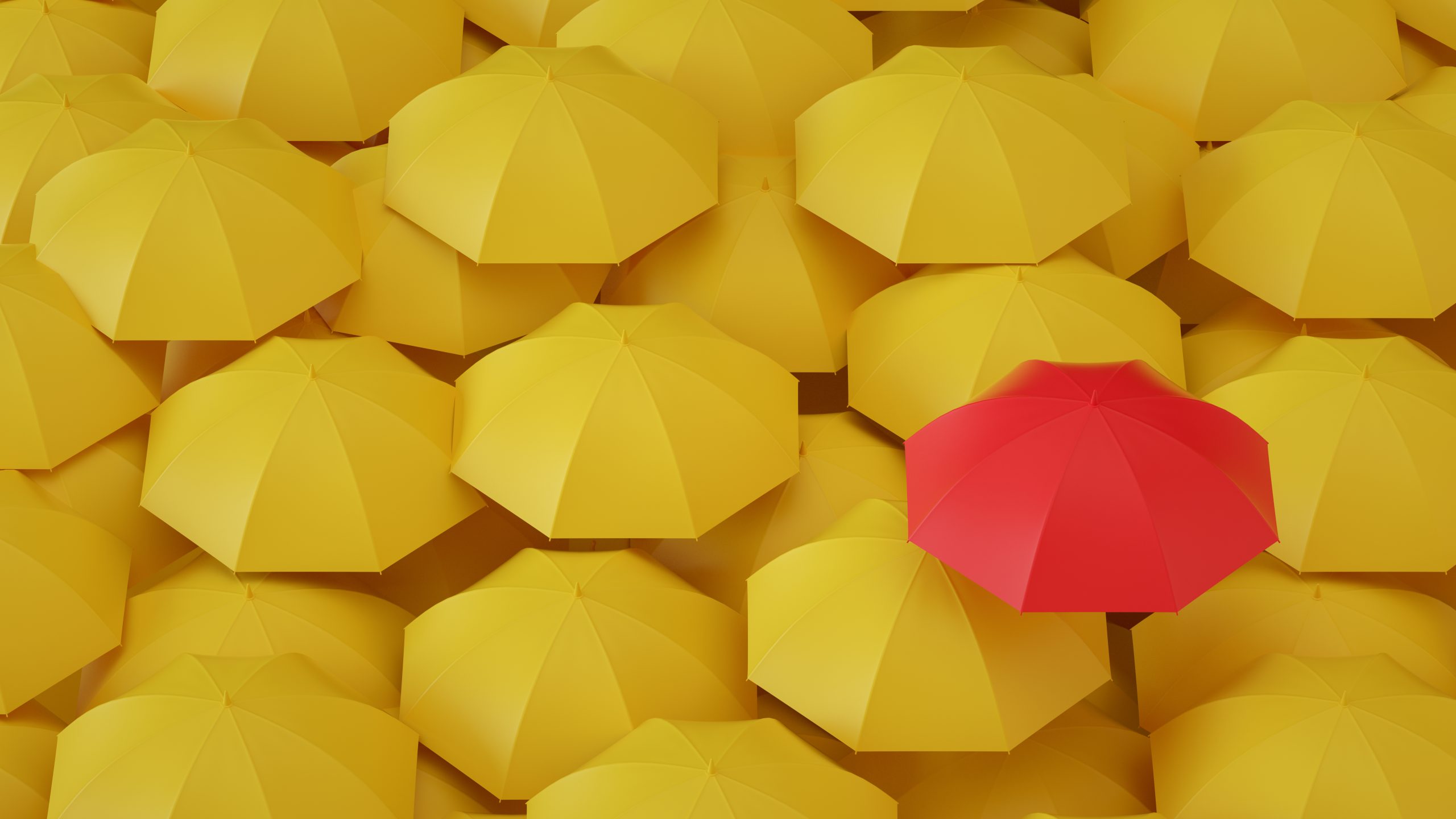 Risk Management Insurance - Compak Asset Management